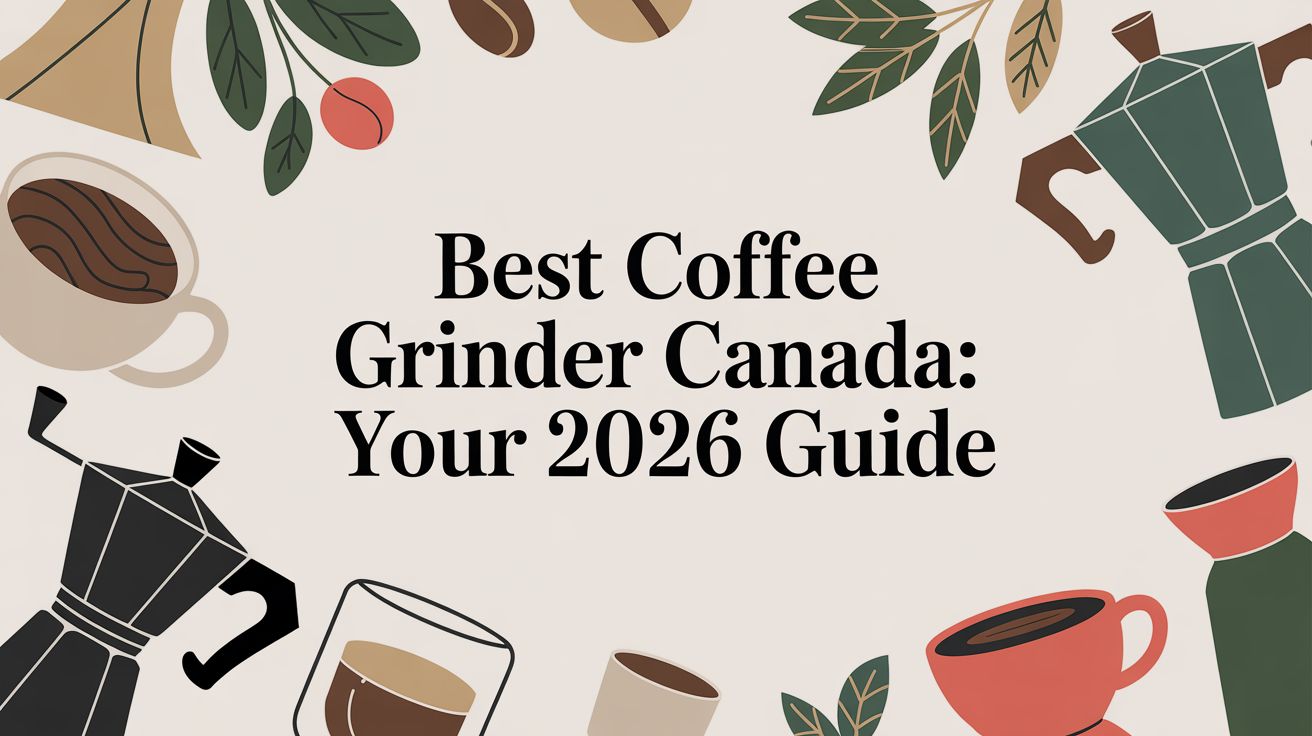 Best Coffee Grinder Canada: Your 2026 Guide – Stillwater Coffee Club